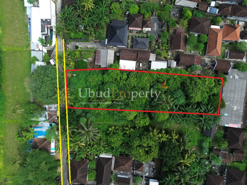 Leasehold Land for Sale in Ubud Bali - LLU.197 | Ubud Property